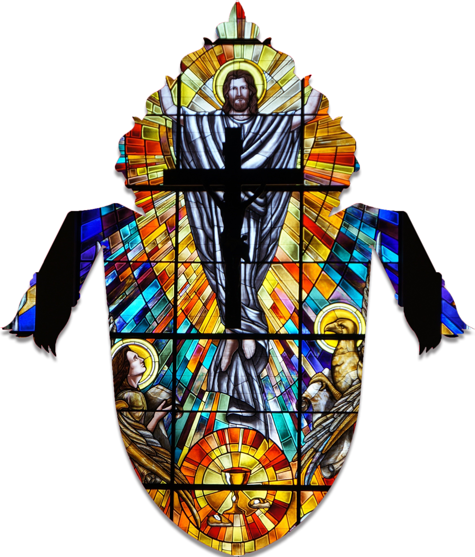 Home - The Catholic Diocese of Tyler